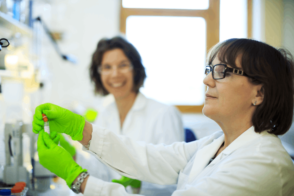About Us | BioInvent